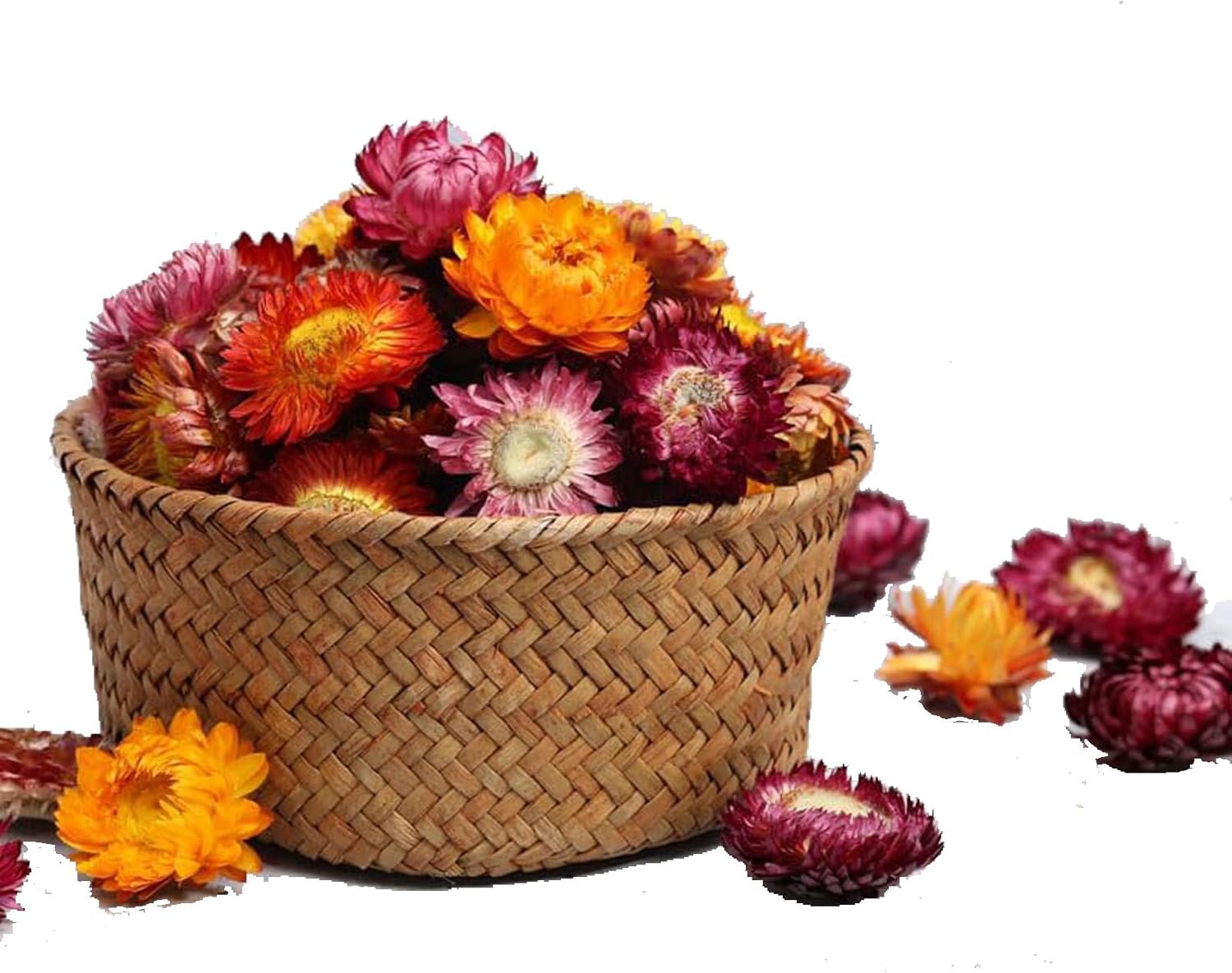 Amazon.com: MOORCHOCO Natural Dried Daisy Flowers Heads - 55~60 Pcs ...