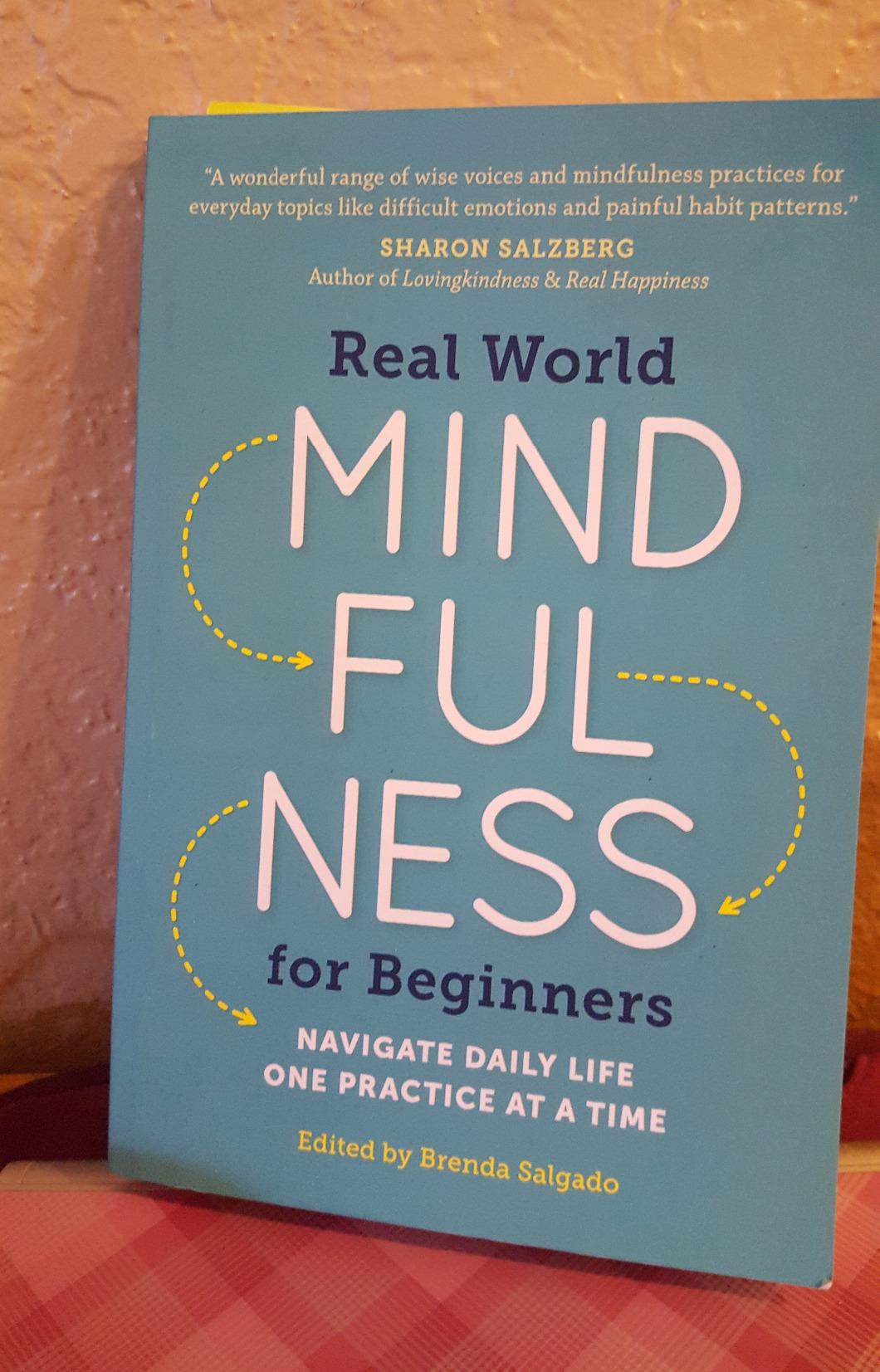 Real World Mindfulness for Beginners: Navigate Daily Life One Practice ...