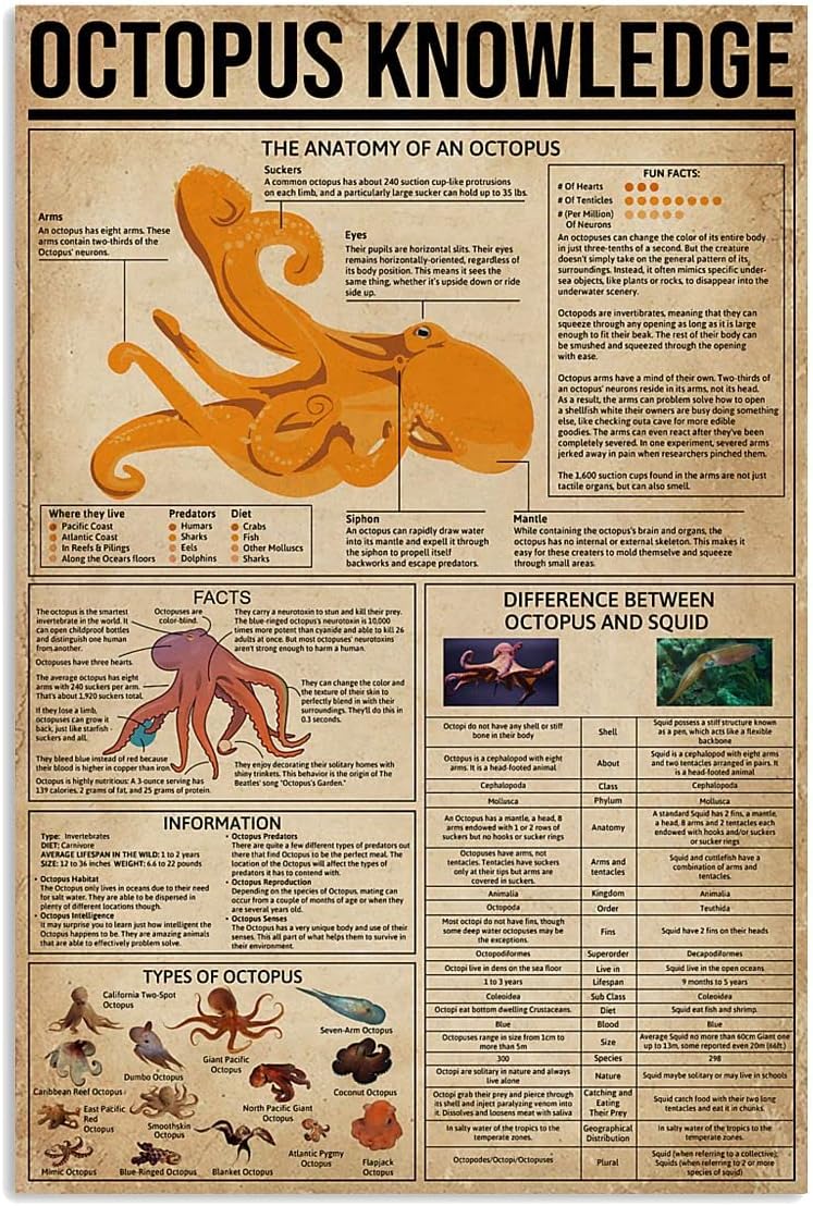 Amazon.com: Octopus Knowledge Metal Tin Signs Octopus Information Retro ...
