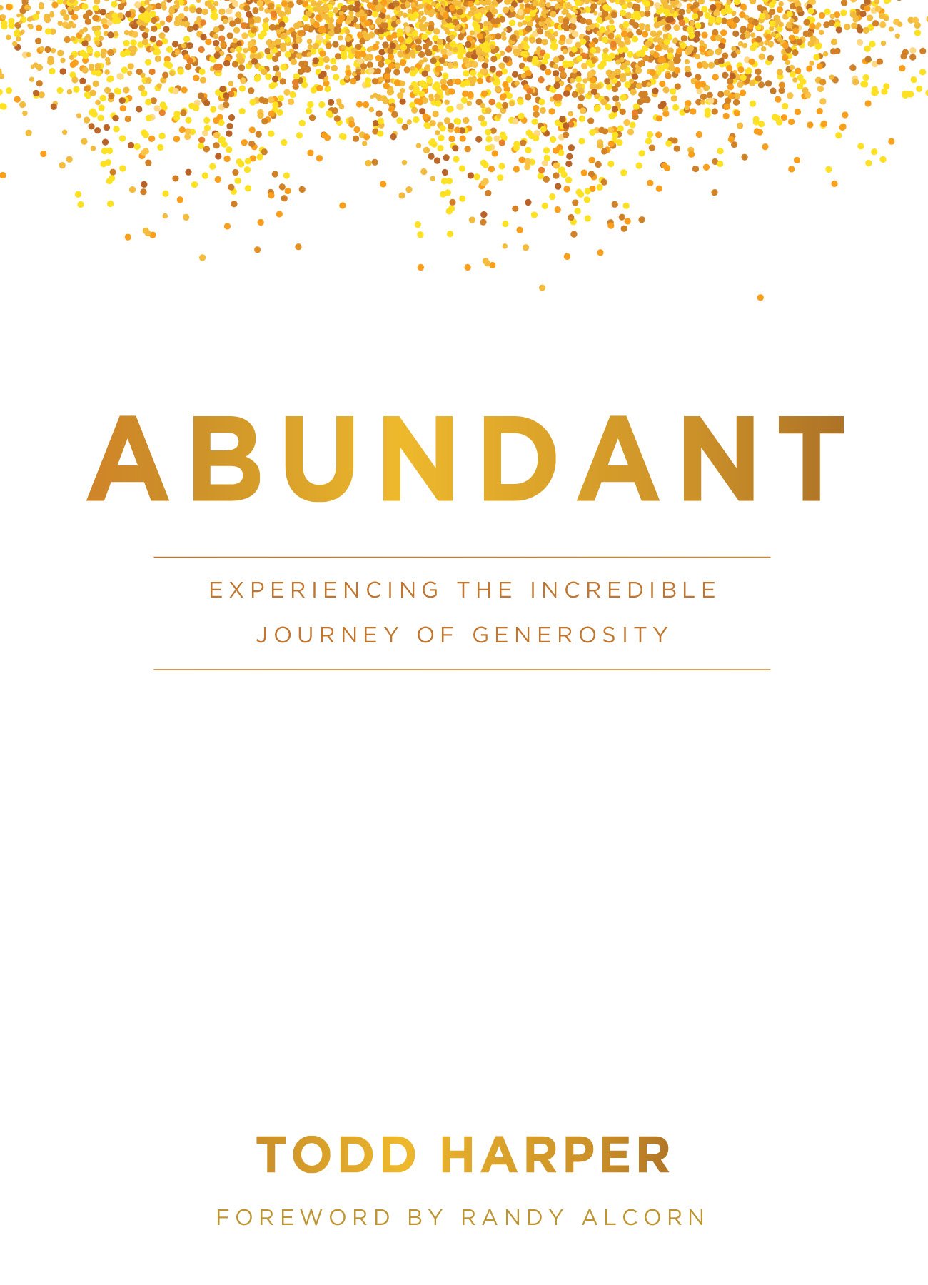 Abundant: Experiencing the Incredible Journey of Generosity: Todd ...