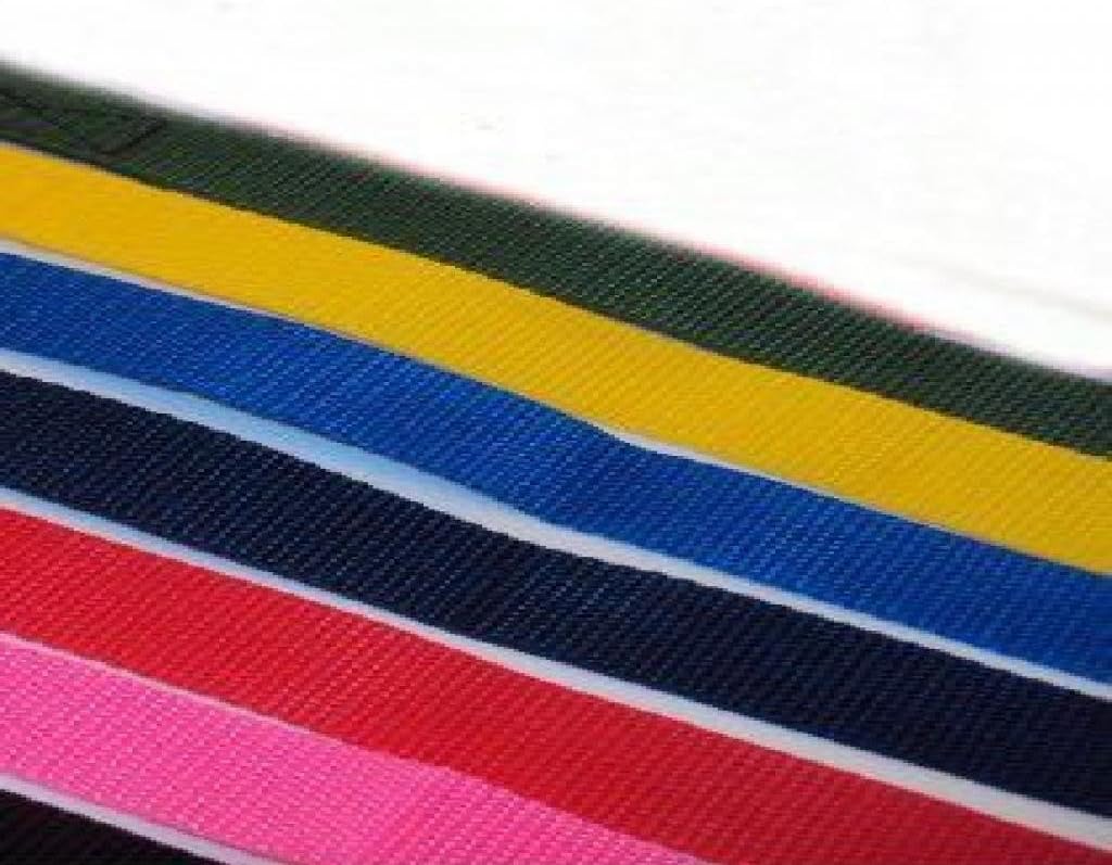 50mm coloured Webbing red 25 meters : Amazon.co.uk: Home & Kitchen