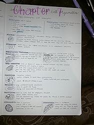 Amazon.com: Essentials A4 Dot Matrix Notebook: 9781441327758: Peter ...