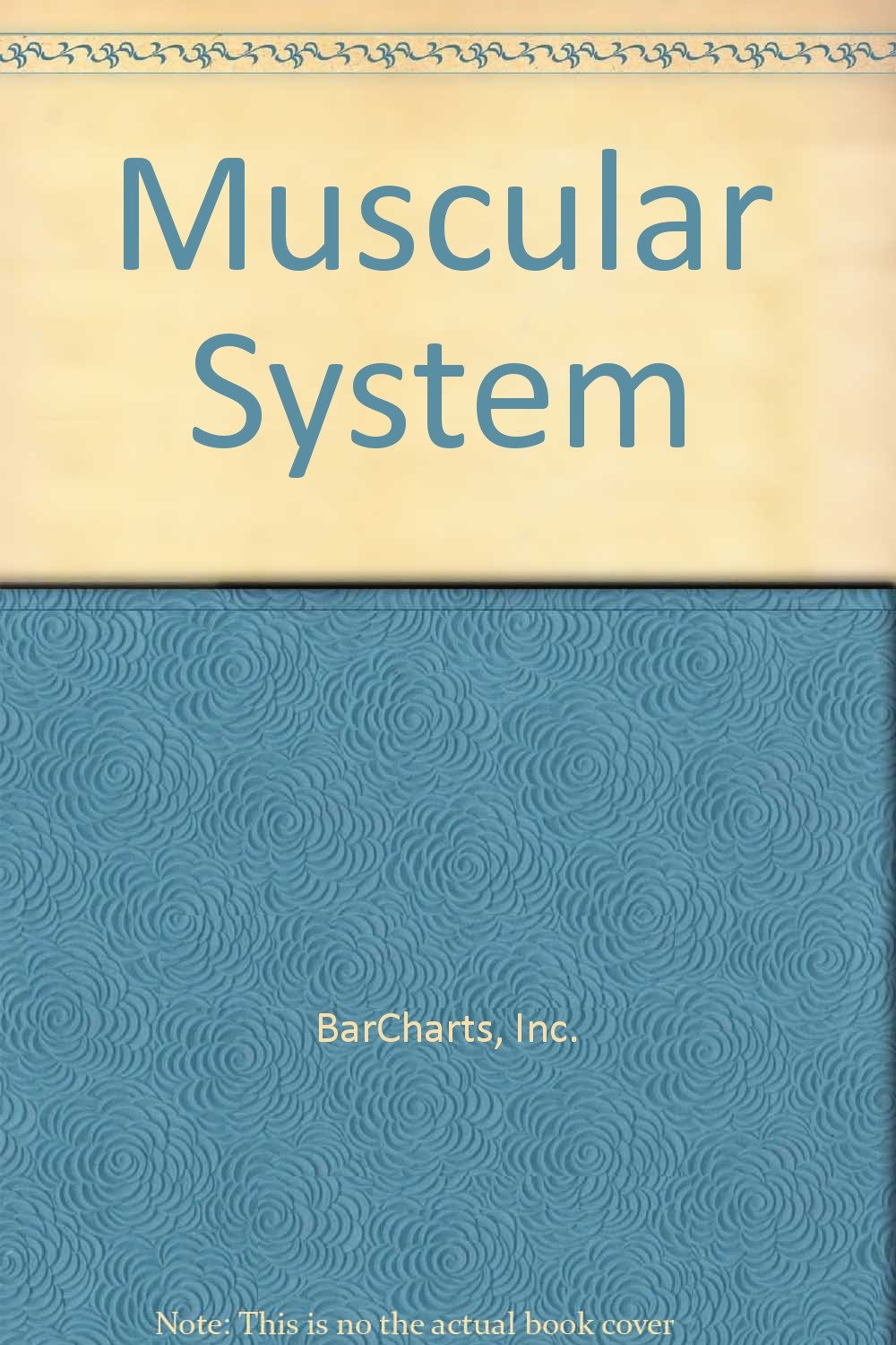 Muscular System: BarCharts, Inc.: 9781572223370: Amazon.com: Books
