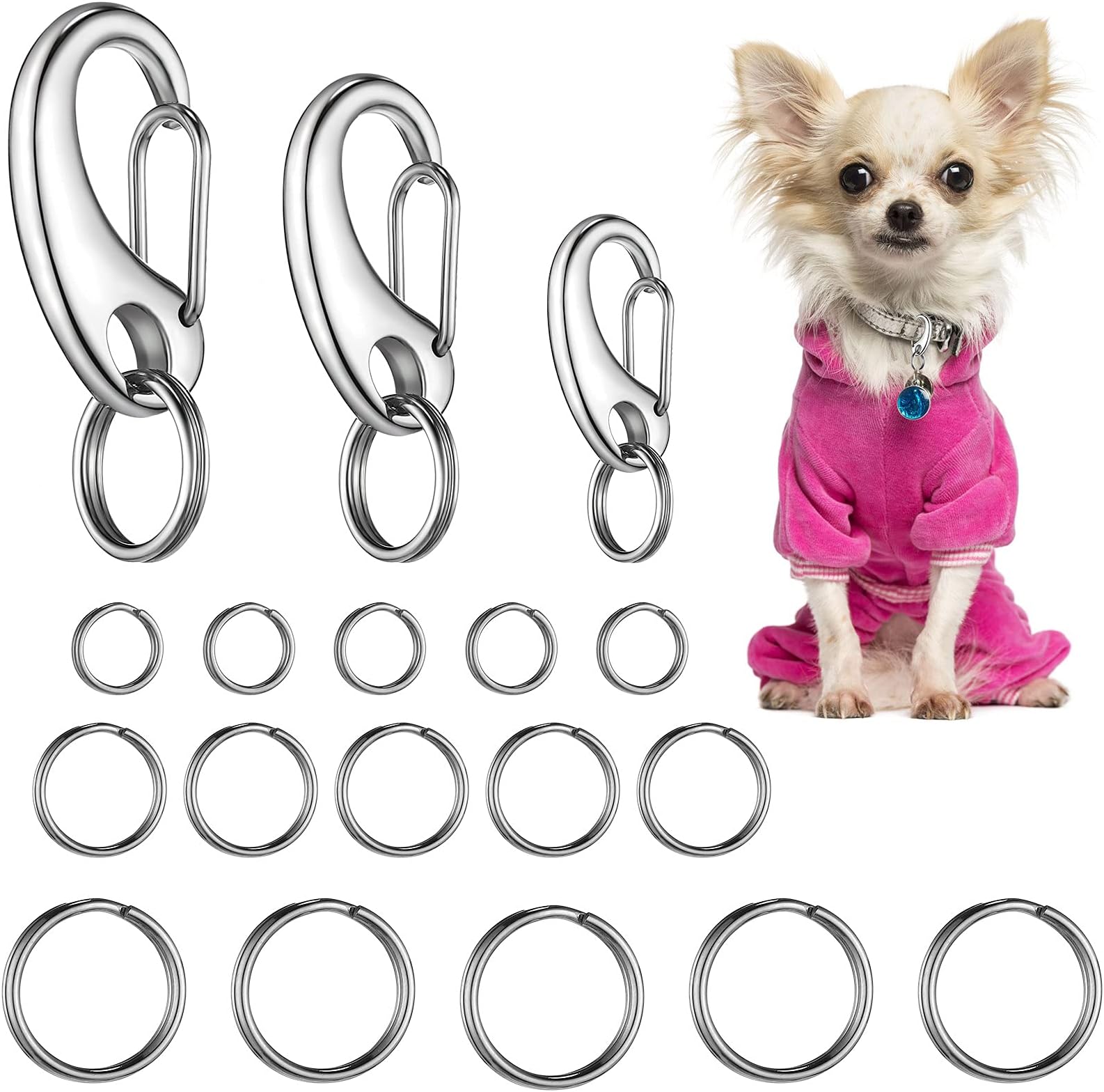 Amazon.com: 18 Pieces Leash Dog Tag Clip Pet ID Pet Tag Quick Clip ...