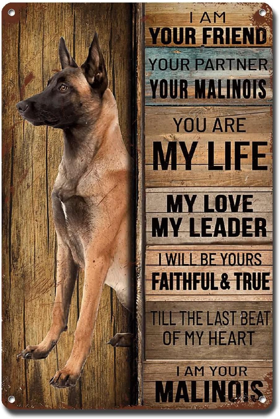 Amazon.com : SIGNS UP Belgian Malinois 2.8 Seconds Sign : Yard Signs ...