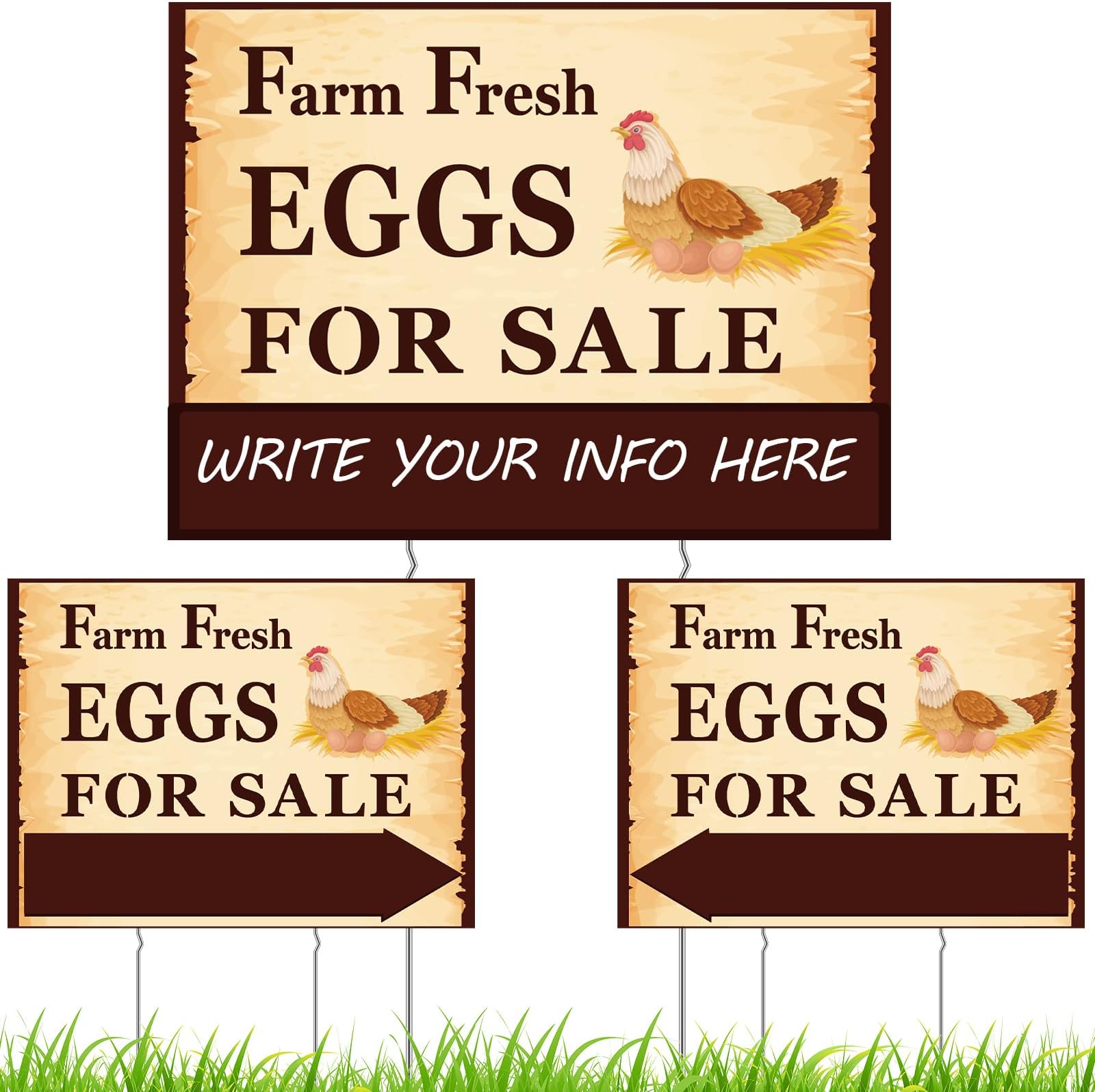Amazon.com : nobrand Fresh Egg Sale Hen Nest Chicken Prim Country Farm ...