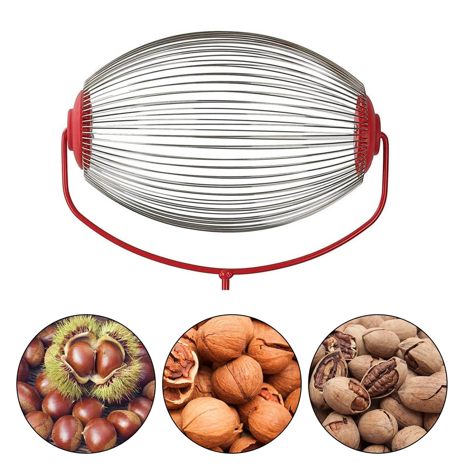 Nut Collector Rolling Collector Fruit Picker Fallen When Is Walnut