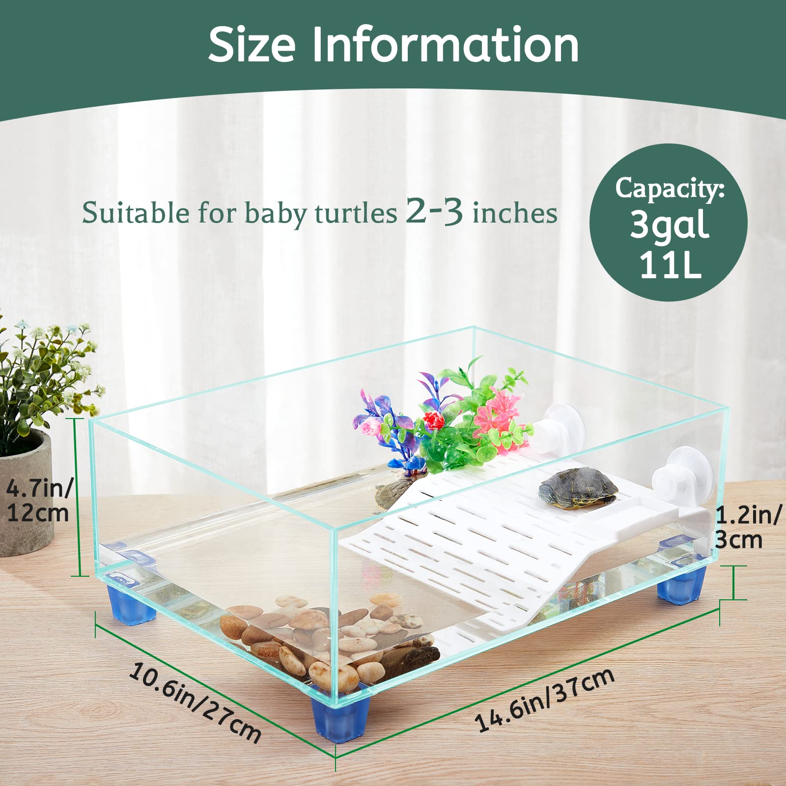 Snapklik.com : LAQUAL Ultra Clear Glass Turtle Tank (3 Gal), 360 View ...