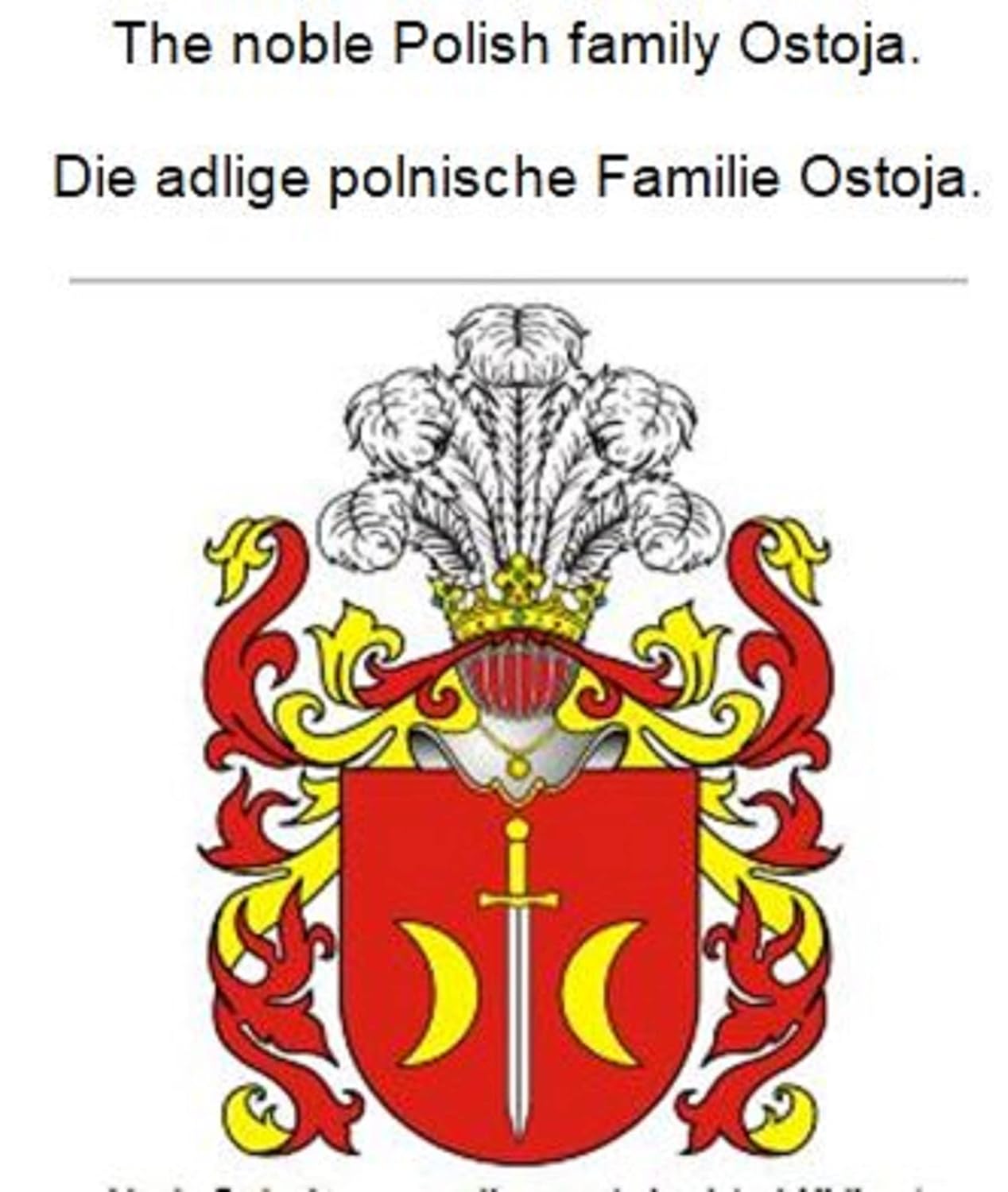 Amazon.com: The noble Polish family Ostoja. Die adlige polnische ...