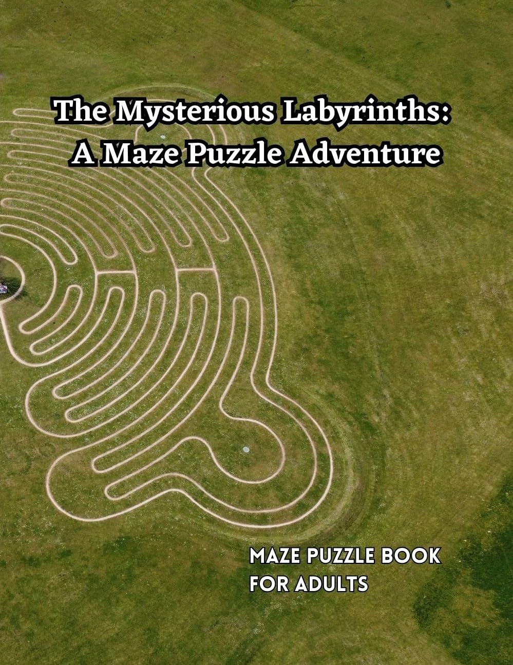 The Mysterious Labyrinths: A Maze Puzzle Adventure: Maze Puzzle Book ...