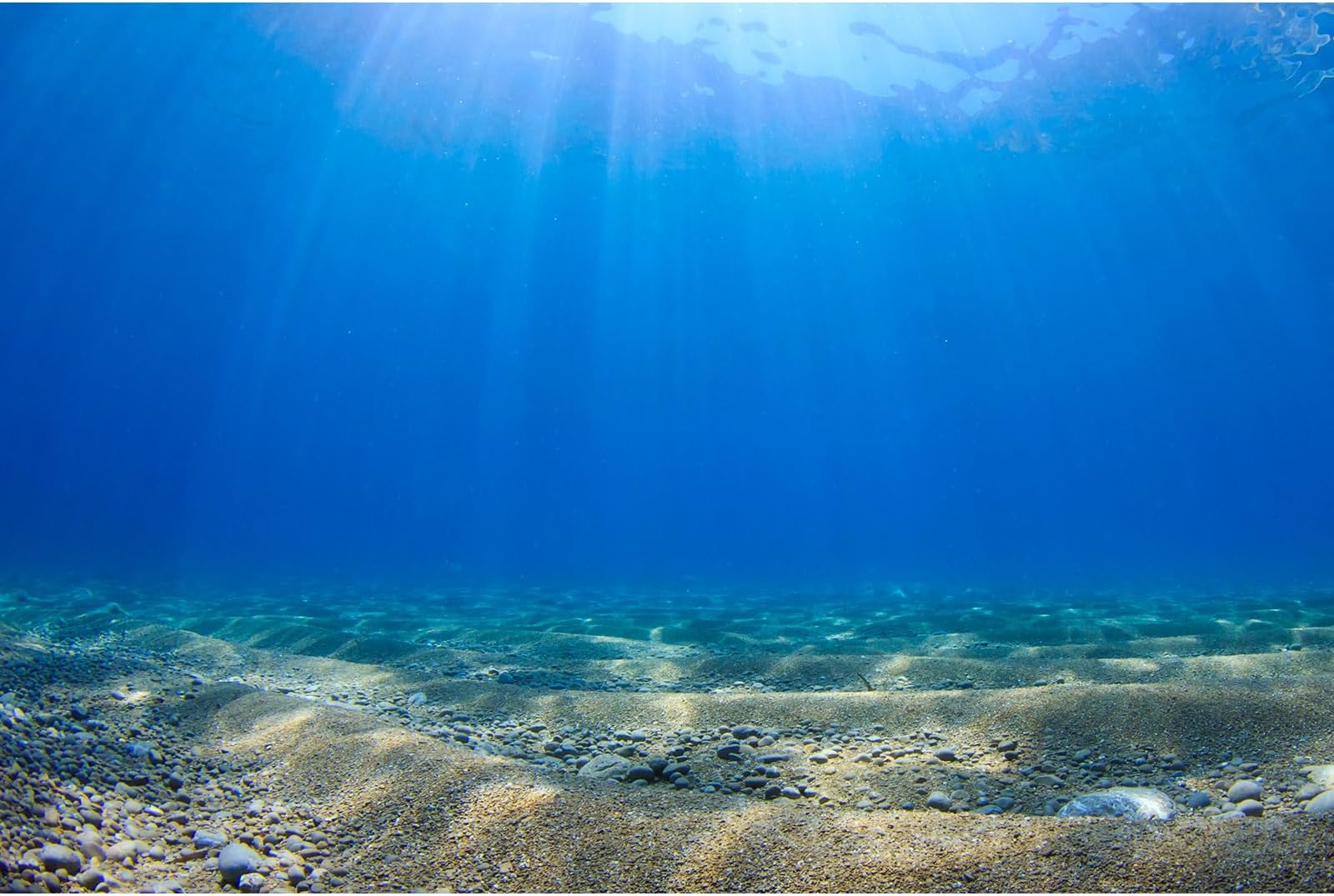 Amazon.com : Laeacco Underwater Mermaid Photo Shoot Backdrop 6.5x10ft ...