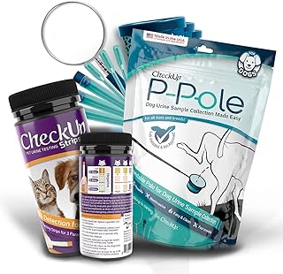 Collecting Dog Urine Samples: A Vet's Guide | MedShun