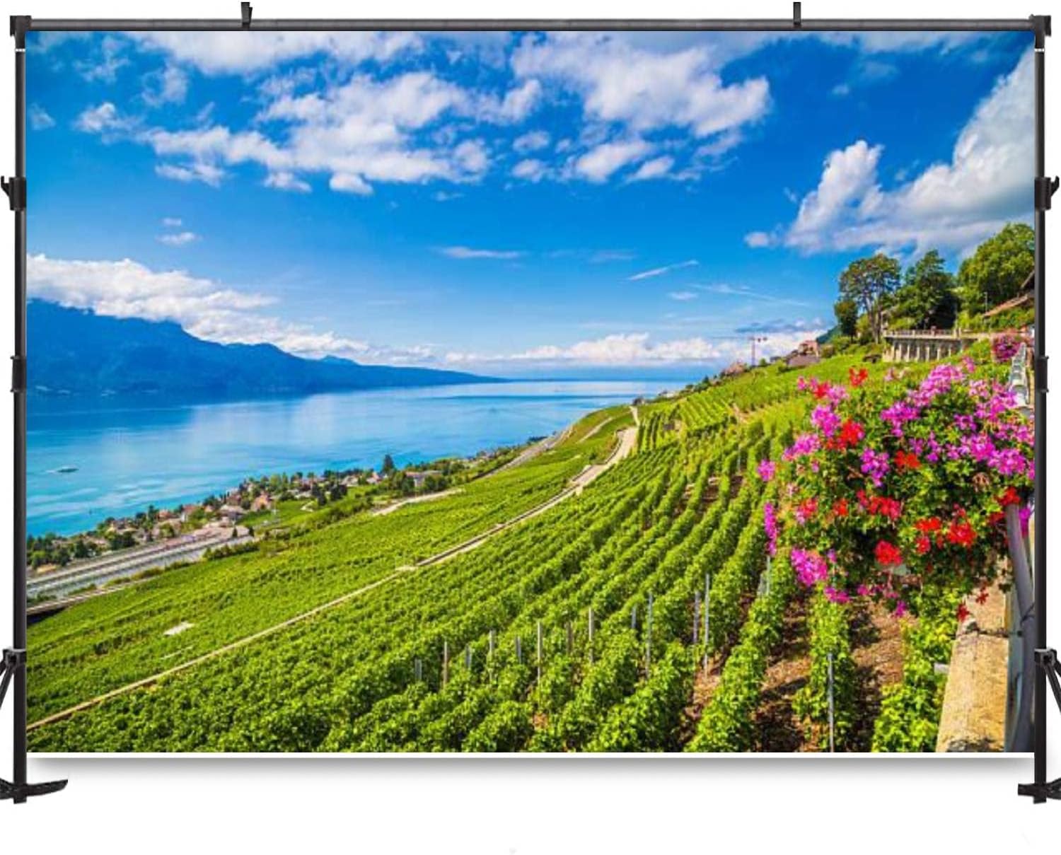 Amazon.com : Lavaux Wine Region at Lake Geneva Switzerland Backdrops ...