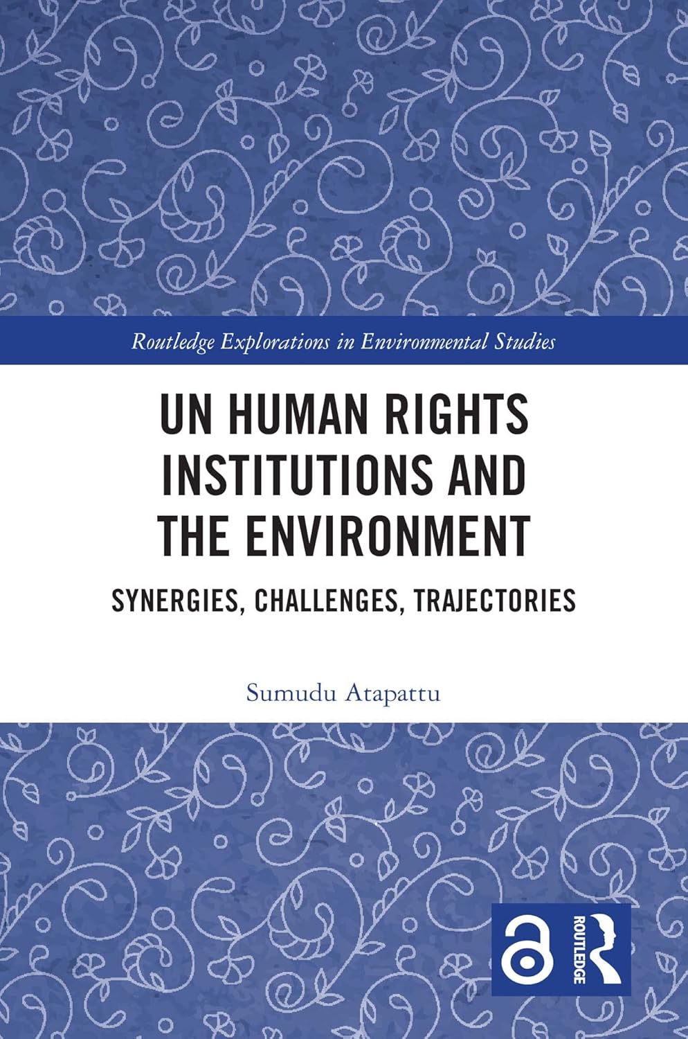 Amazon.com: UN Human Rights Institutions and the Environment: Synergies ...