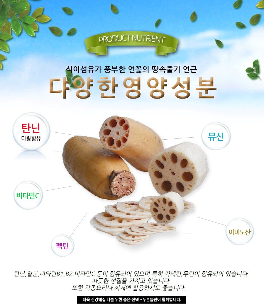 Snapklik.com : Lotus Root Powder Natural 100% Pure Healthy Fiber ...