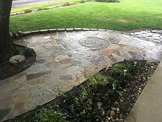 Amazon.com: Alliance Gator Seal Wet Look Sealer for Pavers & Natural ...