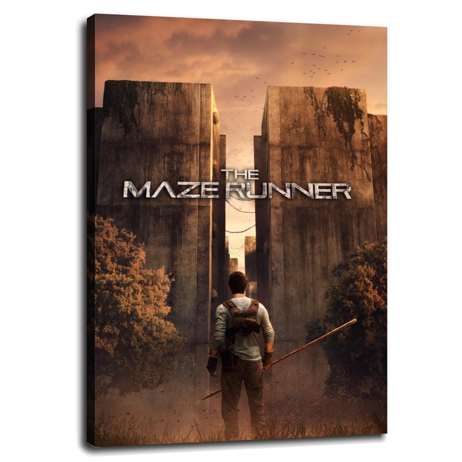 Maze Runner Movie Wallpaper