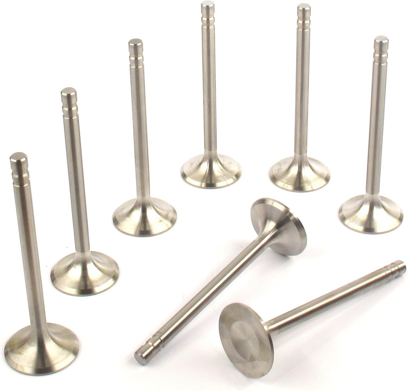 Amazon.com: Elgin HPV-43Q8 High Performance Valve (Box of 8) : Automotive