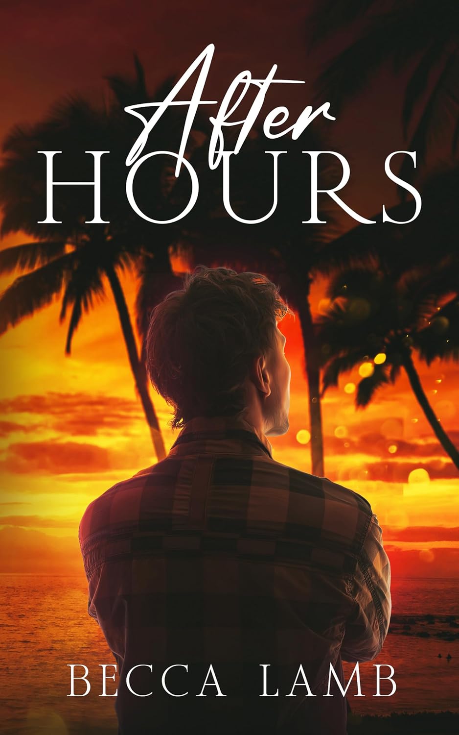 After Hours: A Spicy, MM, Idiots to Lovers Romance (The Koa Collection ...