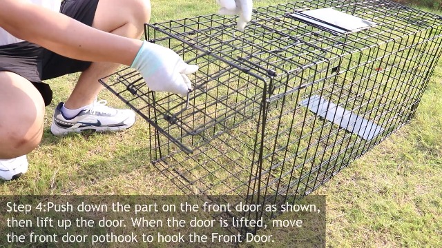 Watch How to assemble the live animal trap cage on Amazon Live