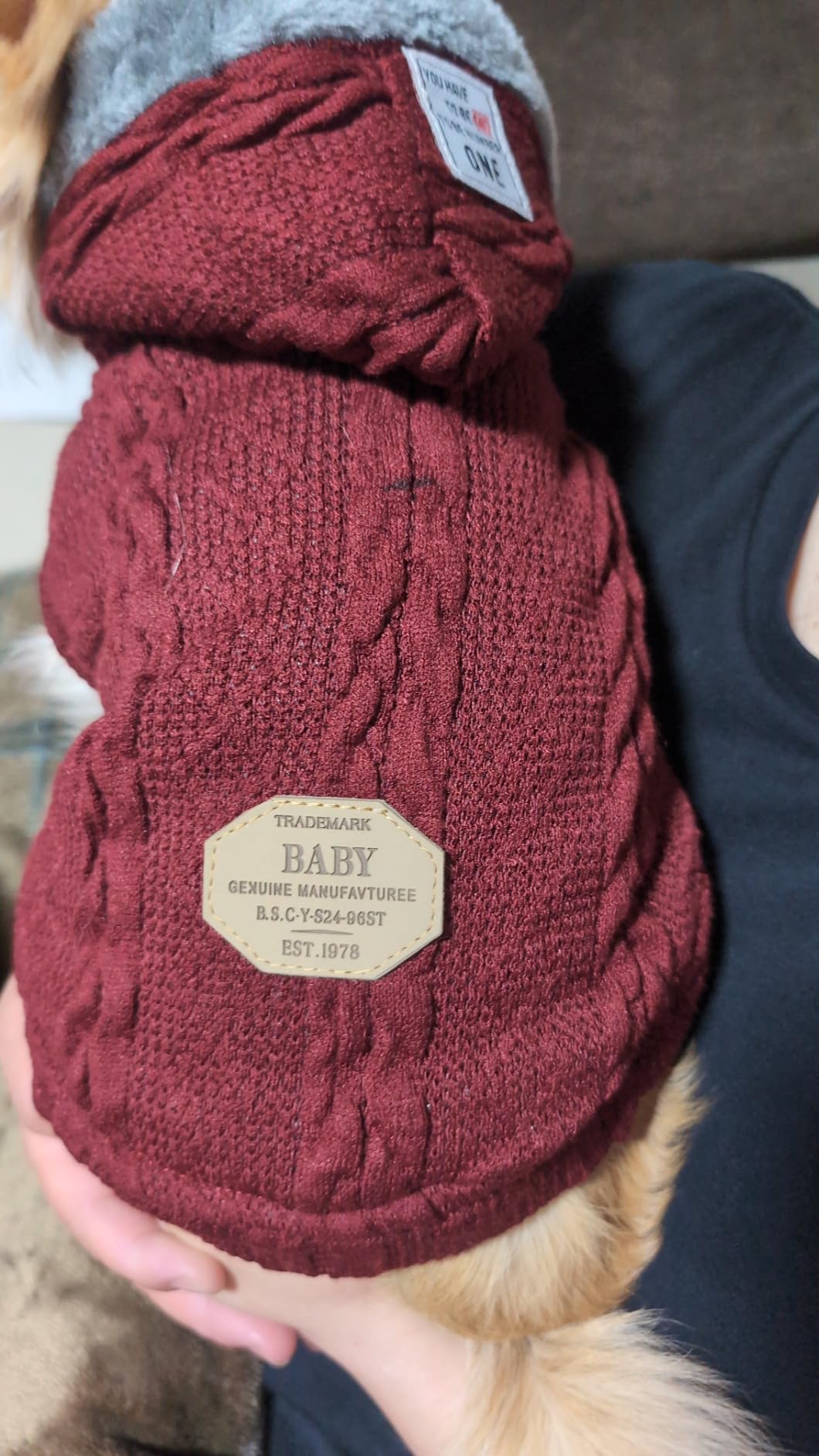 Amazon | SEHOOペット服 セーター 犬服 秋冬 加絨 厚い ドッグウェア パーカー 小中型犬 防寒 | SEHOO | シャツ ...