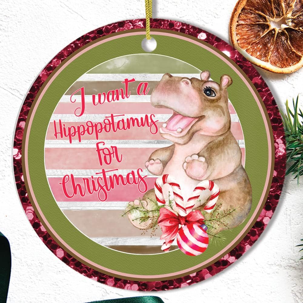 Amazon.com: Hallmark Keepsake I Want A Hippopotamus for Christmas ...