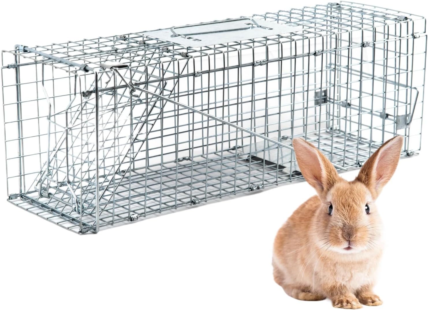 Amazon.com : Heavy Duty 24x7x8 inches Foldable Live Trap for Rats ...