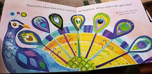 Hello, World! Birds: McDonald, Jill: 9780553521078: Amazon.com: Books