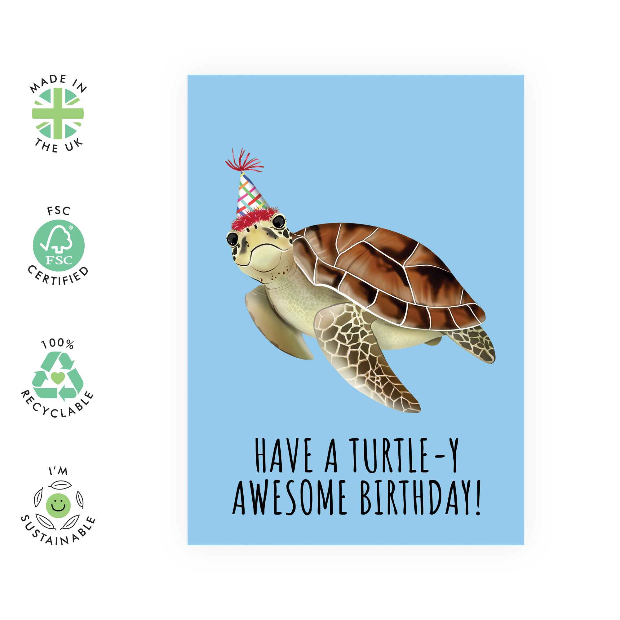 Turtle Birthday Memes
