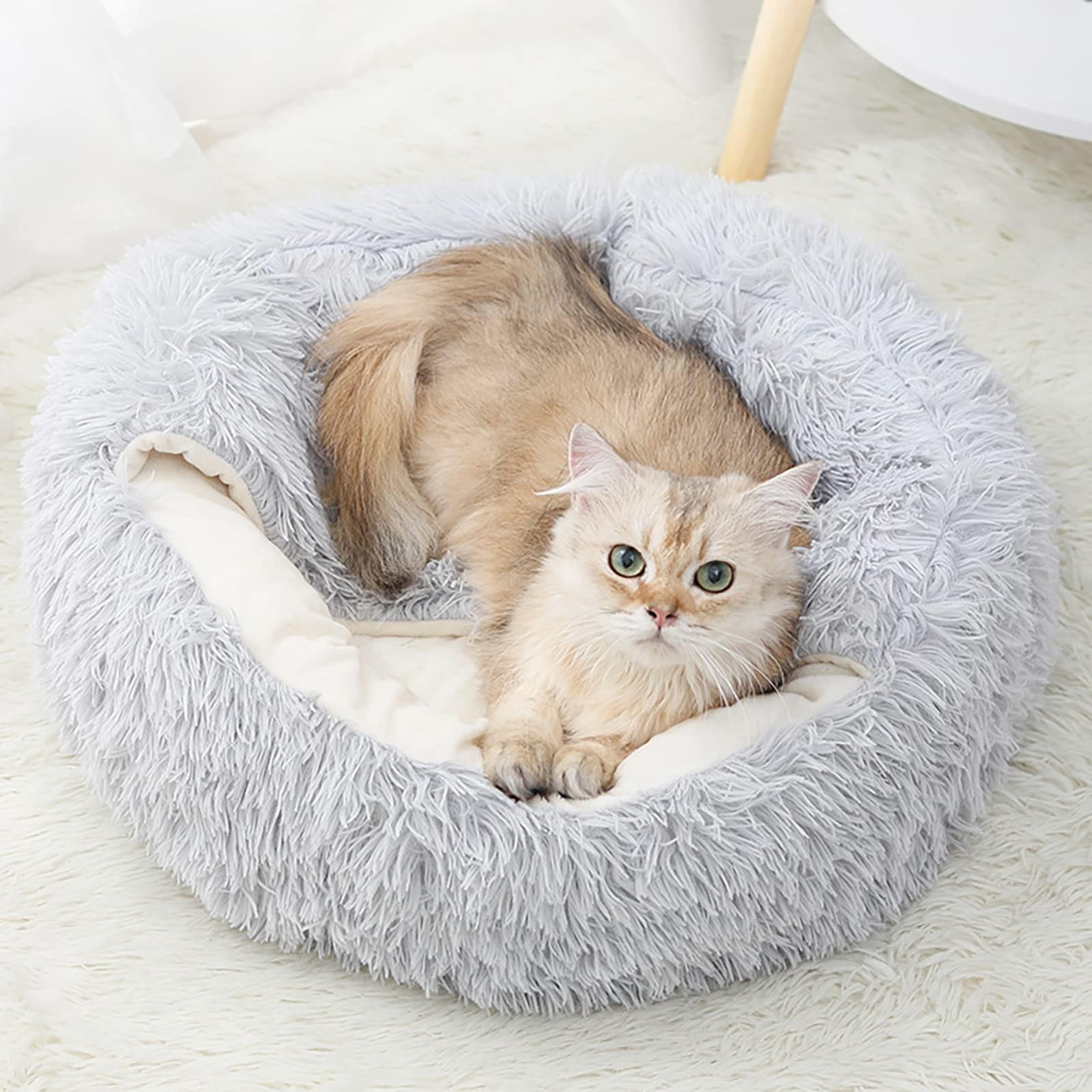 Amazon.com : CENGNIAN 15.8'' Soft Round Plush Faux Fur Pet Bed for Cats ...