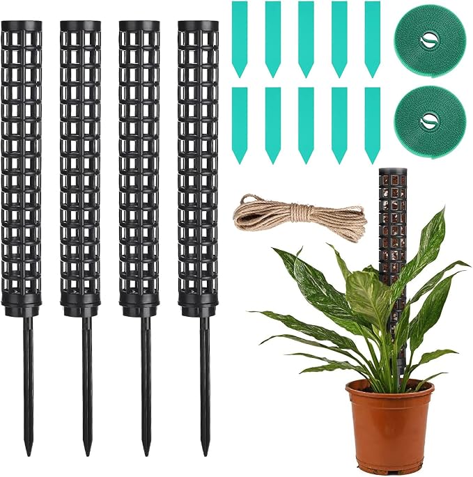 4 Pièces Tuteur Monstera,Poteau Tuteur Plante en Pot,Monstera,Tuteurs ...