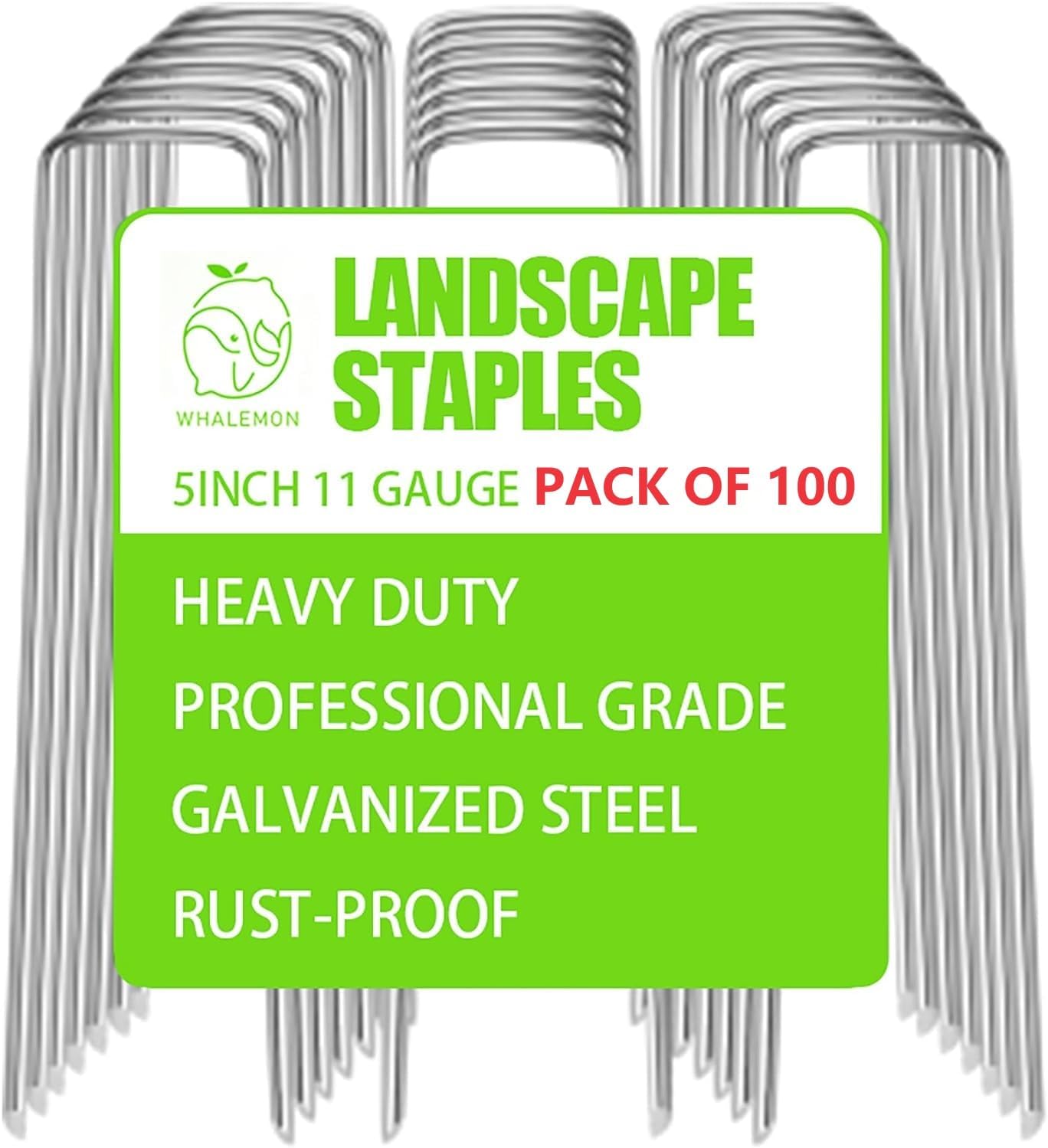 Amazon.com : 100 Pack Landscape Staples 6 Inches 11 Gauge Stakes ...