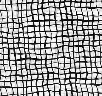 Amazon.com: Moda Day & Night Quilting Fabric