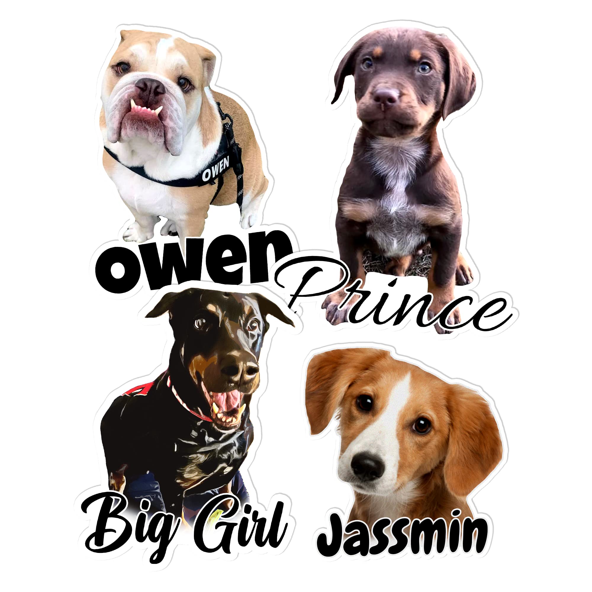 Amazon.com: Custom Photo Pet Sticker Personalized Your Pet Photo Dog ...