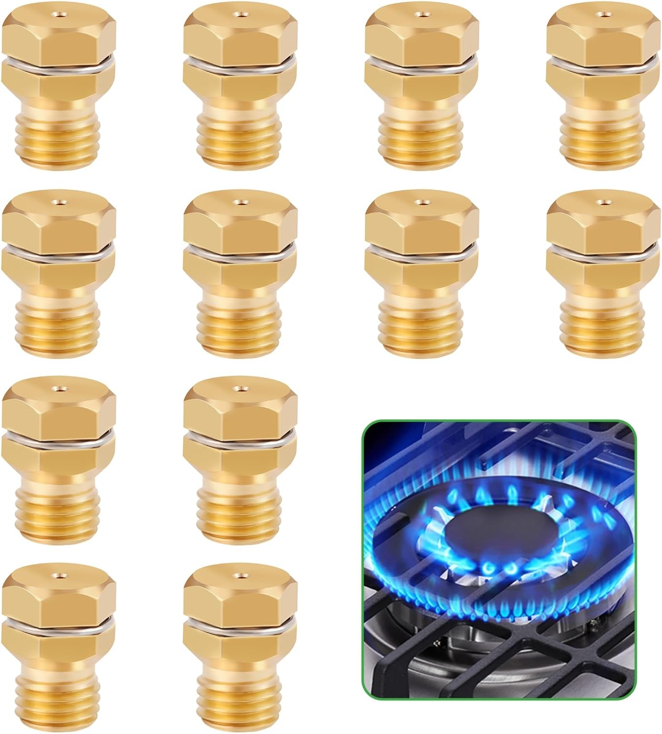 Amazon.com: GRLP5 Series Natural Gas to Propane LPG Conversion Kit for ...