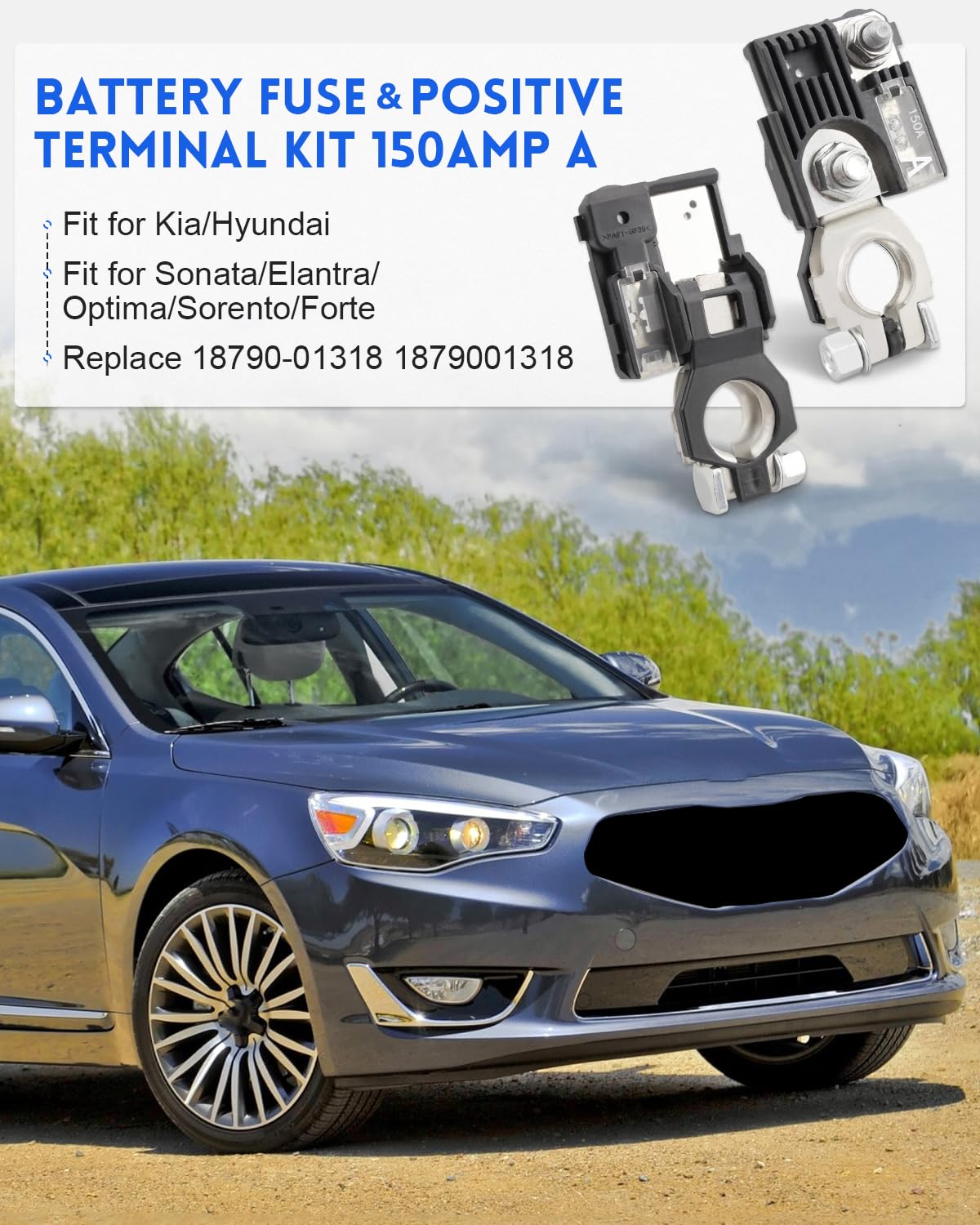Battery Fusible Link 150 Amp & Positive Terminal - Fits Hyundai/Kia ...