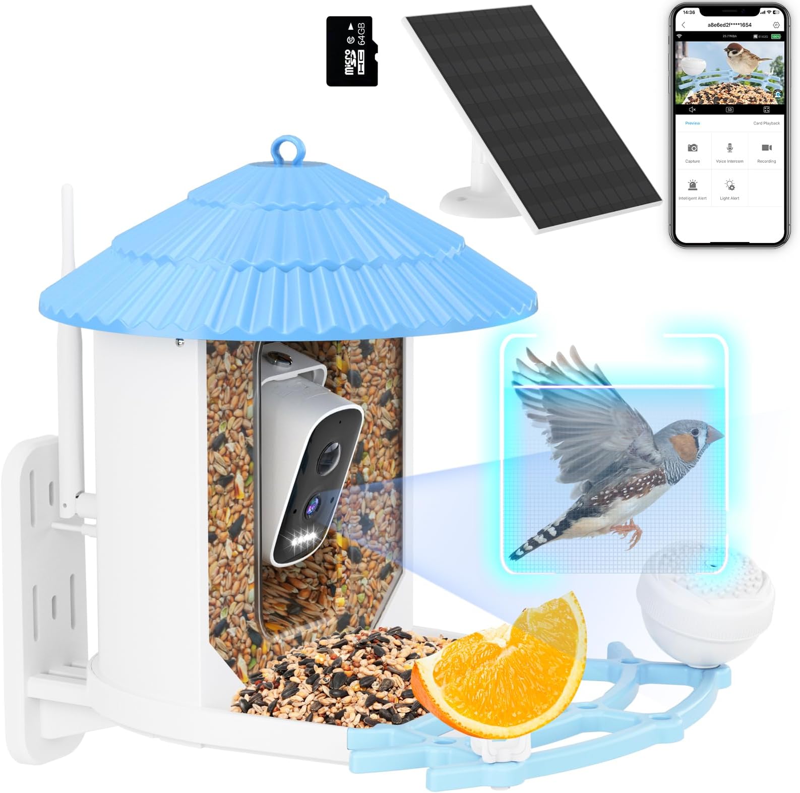 Amazon.com : 64GB Bird Feeder with Camera, 2K 3MP HD Camera Bird Feeder ...