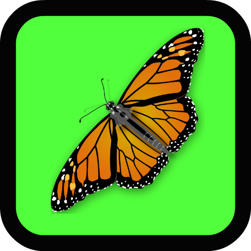 Butterfly Matching Game - App on the Amazon Appstore