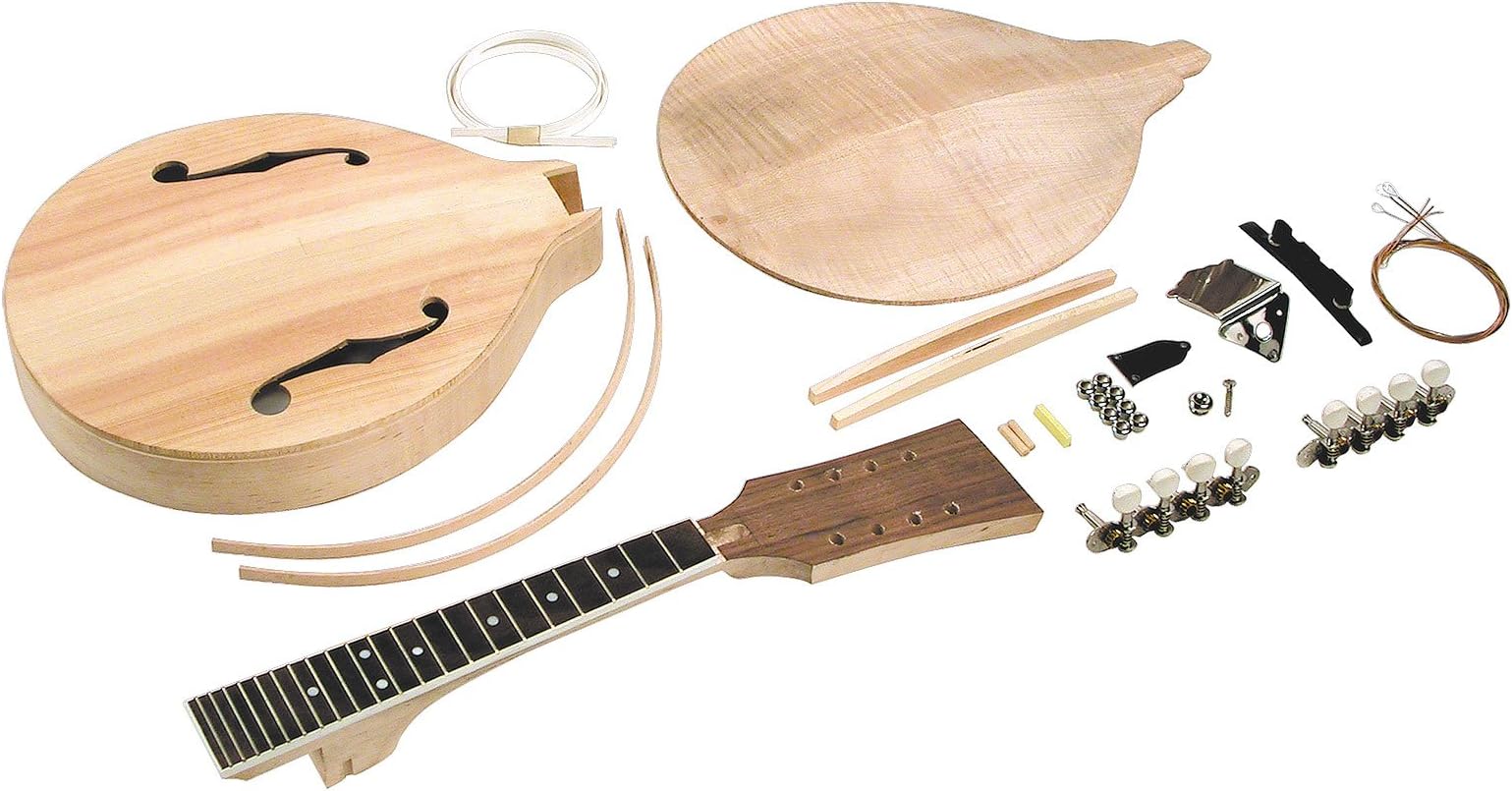 Amazon.com: Saga AM-10 A-Model Mandolin Kit : Musical Instruments