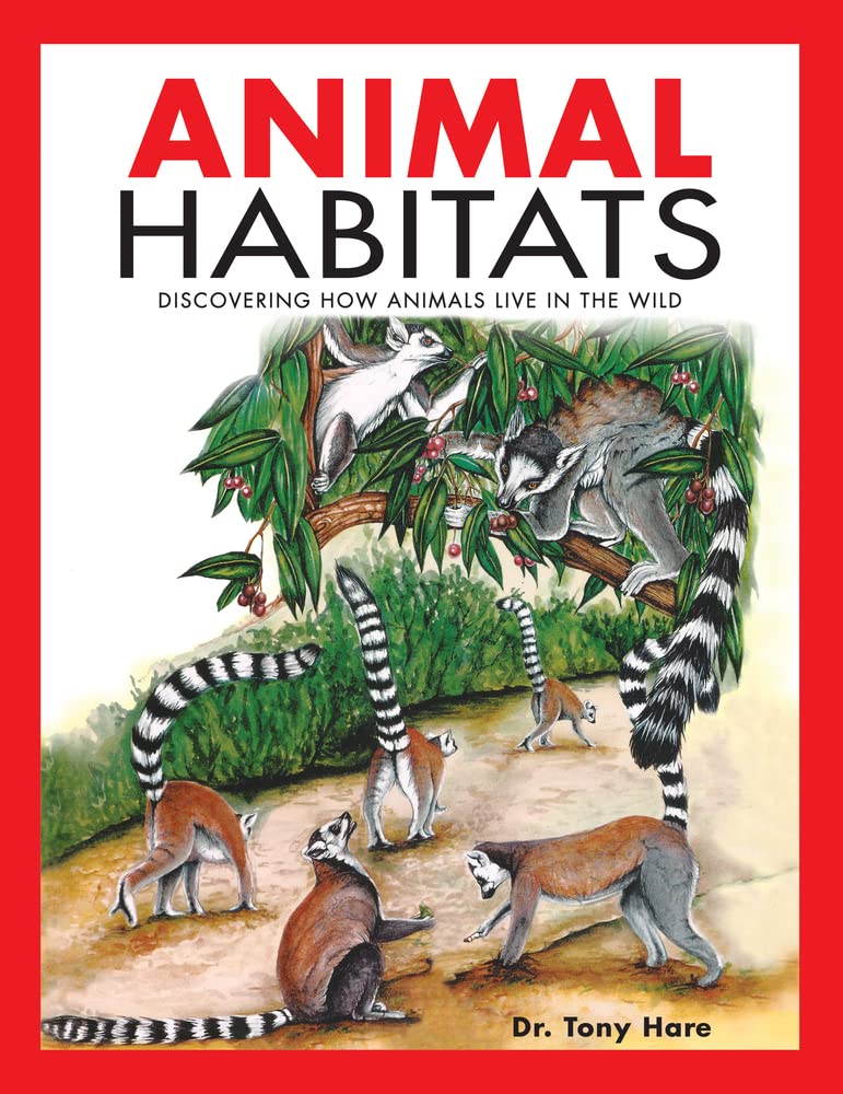 Animal Habitats: Discovering how animals live in the wild: Hare, Tony ...