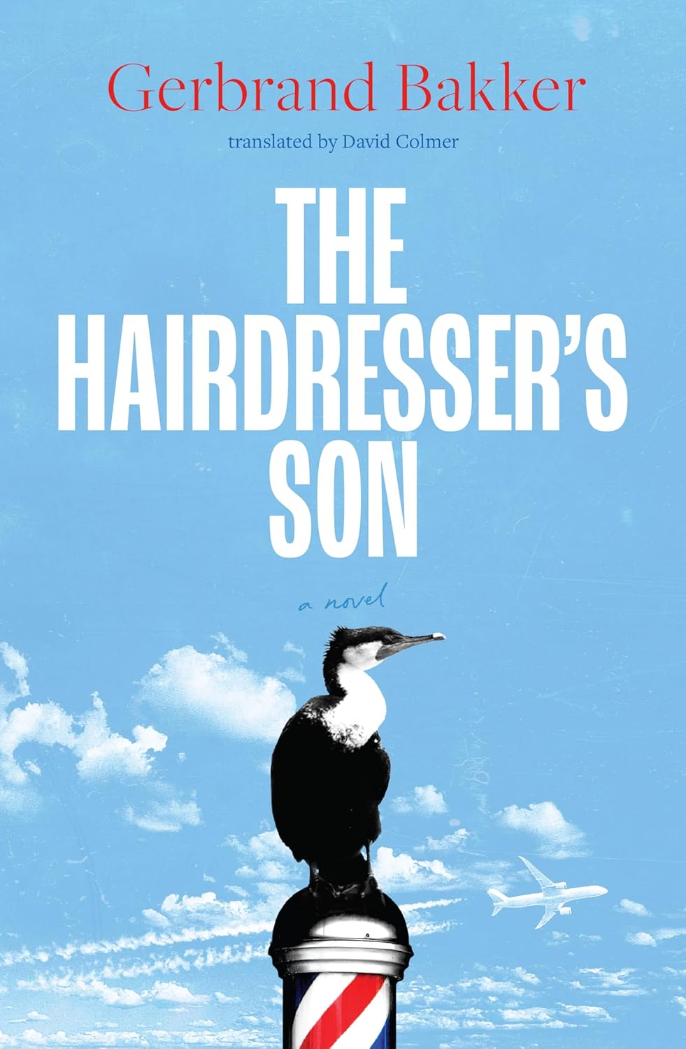 The Hairdresser’s Son eBook : Bakker, Gerbrand, Colmer, David: Amazon ...