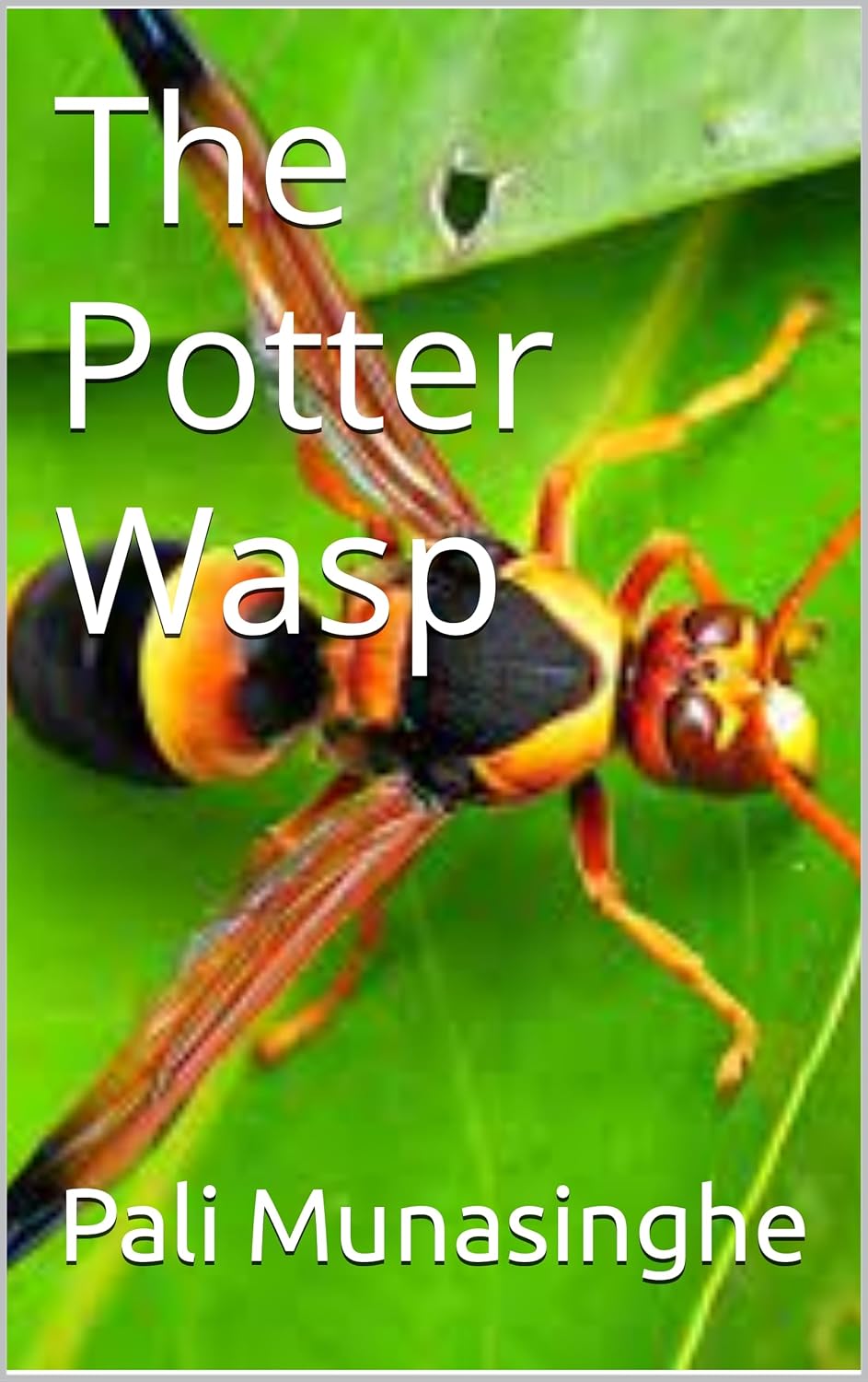 The Potter Wasp eBook : Munasinghe, Pali: Amazon.in: Kindle Store