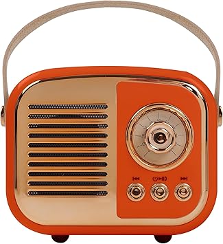 Amazon.com: Aresrora Retro Bluetooth Speaker, Vintage Wireless Speaker ...