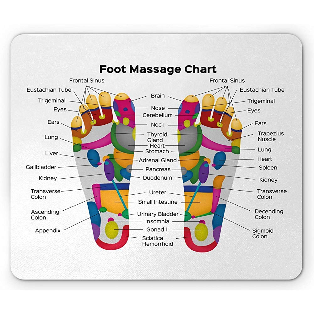 Buy Human Anatomy Mouse Pad, Colored Chart Of Foot Massage Body Parts ...