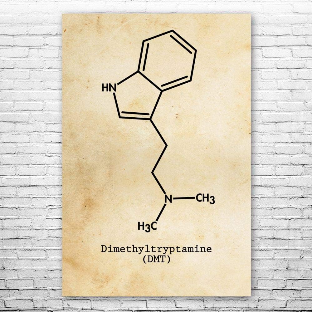Amazon.com: DMT Molecule Poster Print, DMT Art Print, Hippie Gift ...