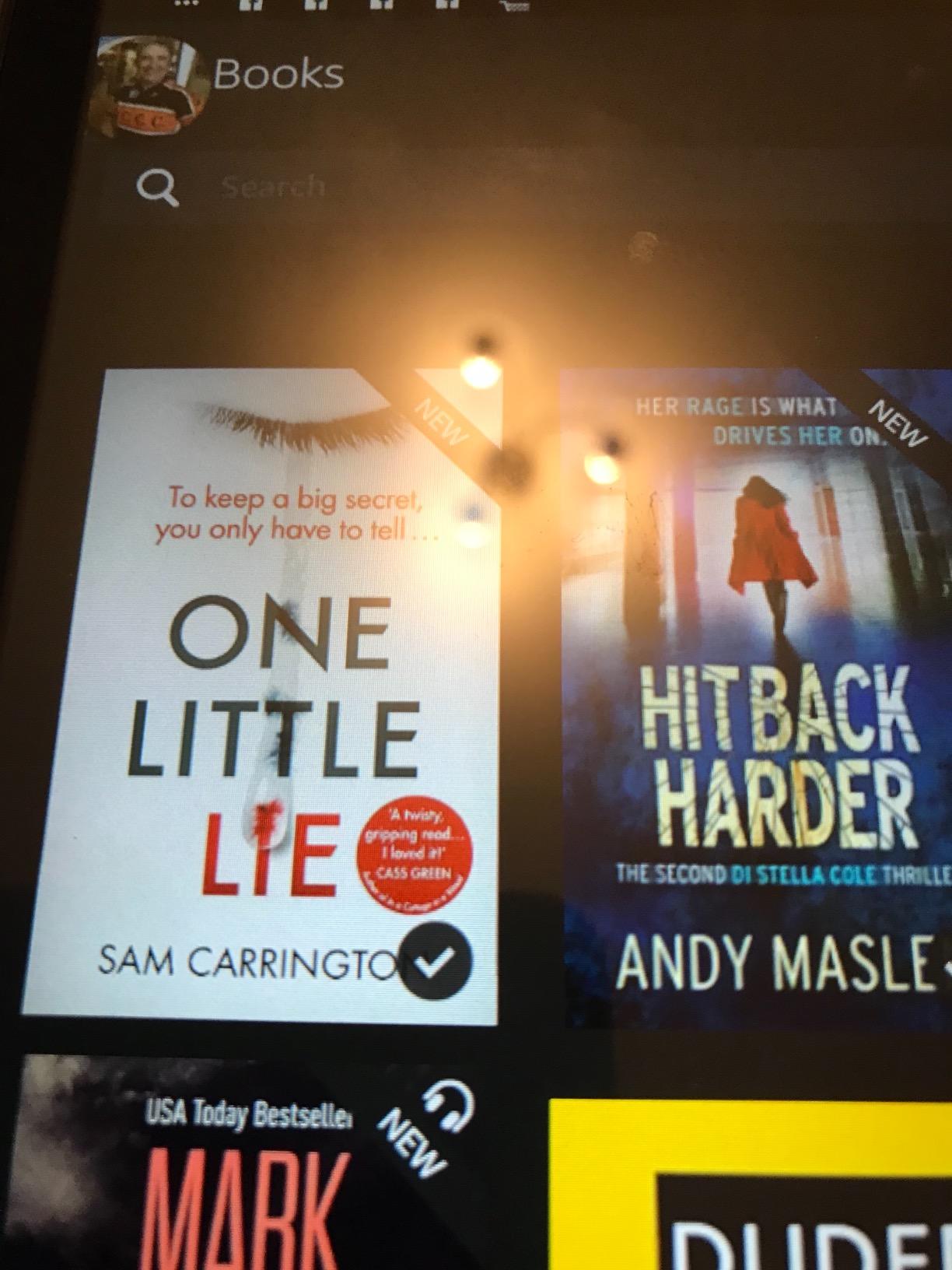 One Little Lie: An absolutely unputdownable and gripping psychological ...