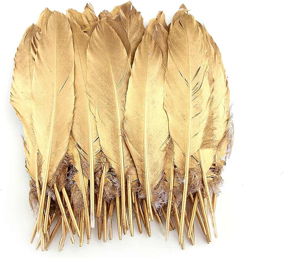 Amazon.co.uk: Feathers