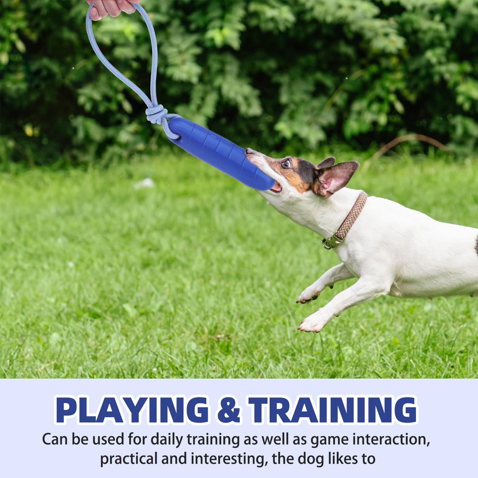 Snapklik.com : PUPTECK Interactive Dog Pool Toys Water Floating Toys ...