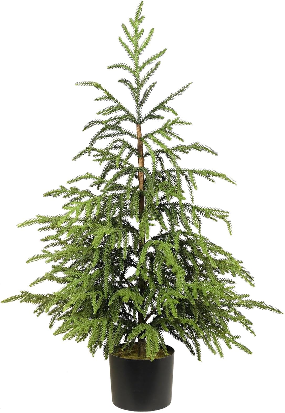 Amazon.com: Artificial Norfolk Pine Tree - 36" Faux Christmas Tree ...
