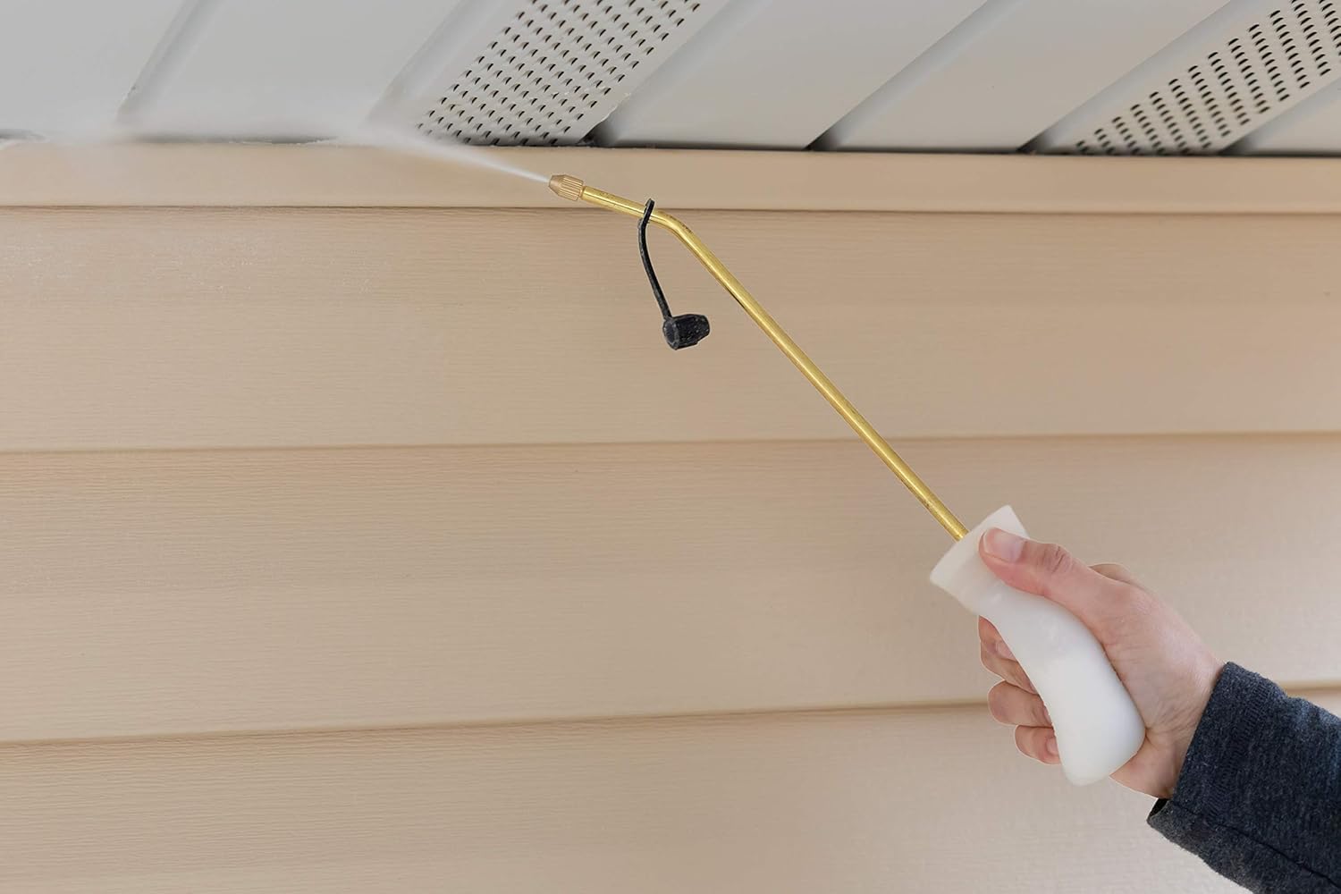 Buy منفضة مسحوق Bizzy One - كبيرة جدًا 8 oz / Diatomaceous Earth Bulb ...